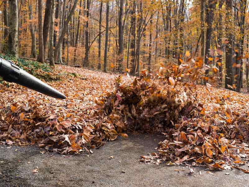 Souffleur thermique : un outil puissant pour souffler les feuilles ...
